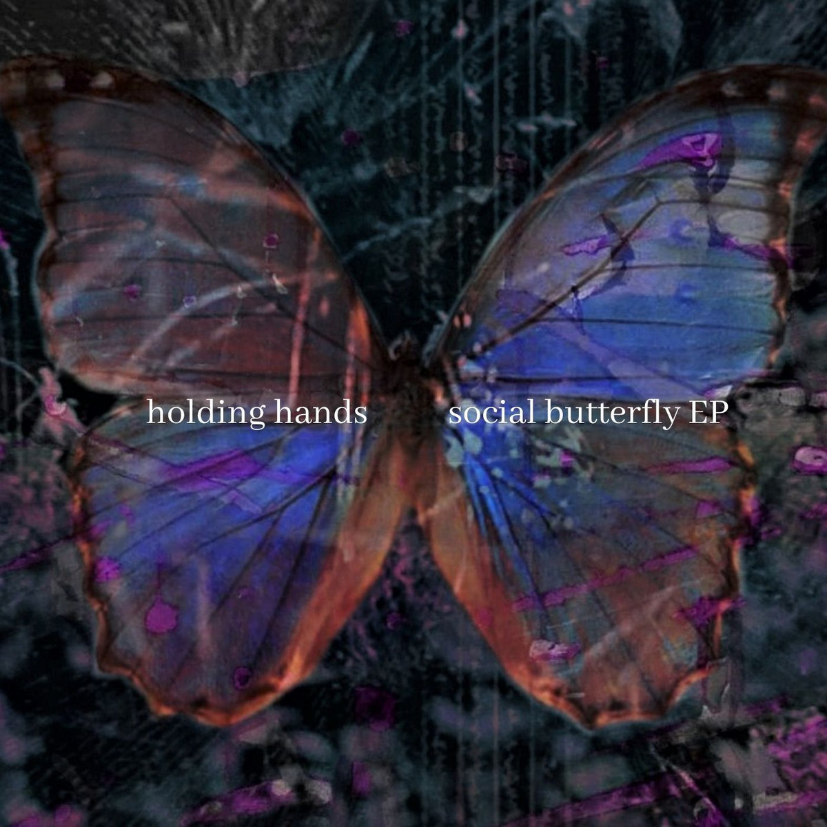 Social Butterfly