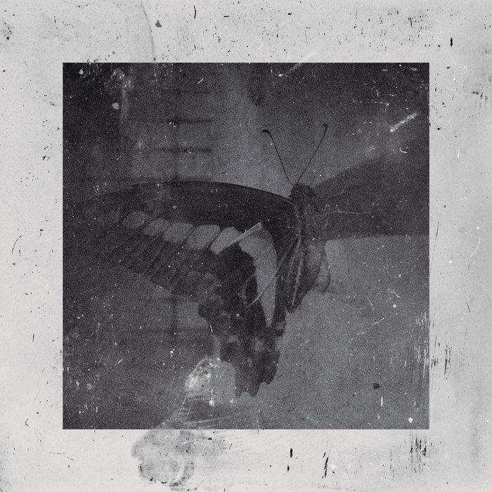 Four Mass | Sun Dawei | GSXS