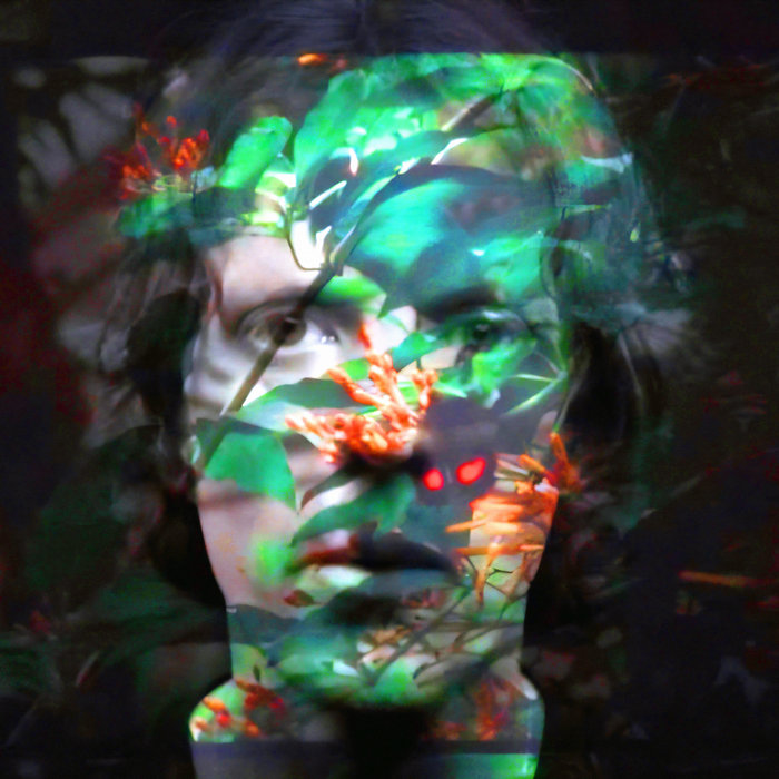 The Optimyst | The Forrest Williams Democracy