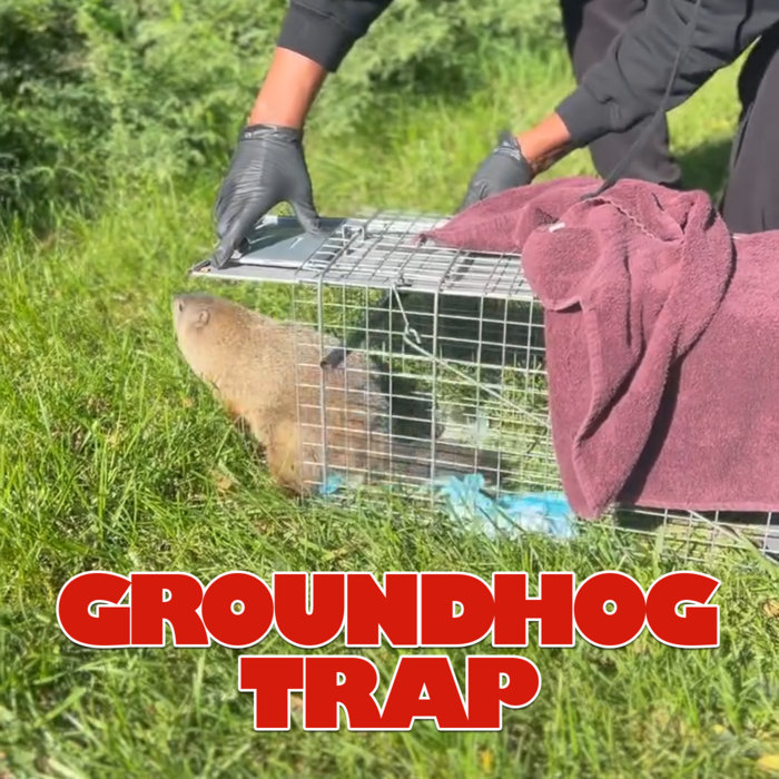 Groundhog Trap, starring Masta Ace | MC Paul Barman