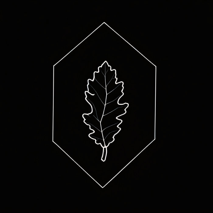 winter leaves | OggiK