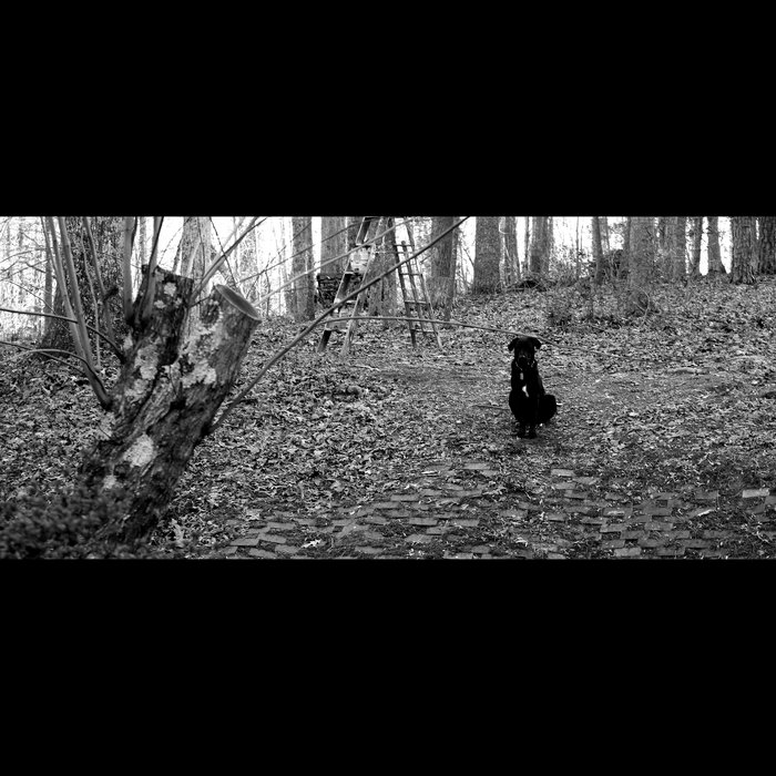 Lorda' Mercy | Ian Pasquini