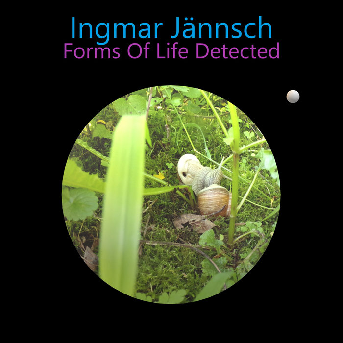 Forms Of Life Detected | Ingmar Jännsch