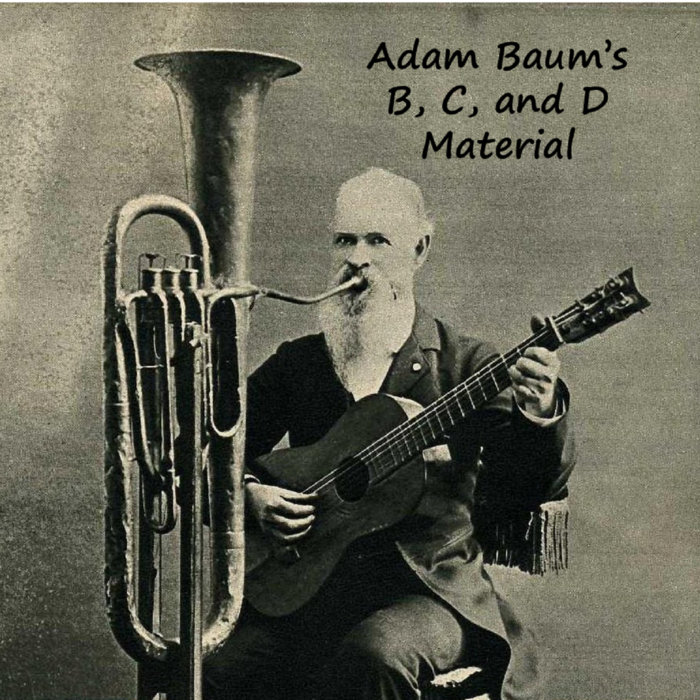 Ding Dongs | 2016/2017 satire album | Adam Baum