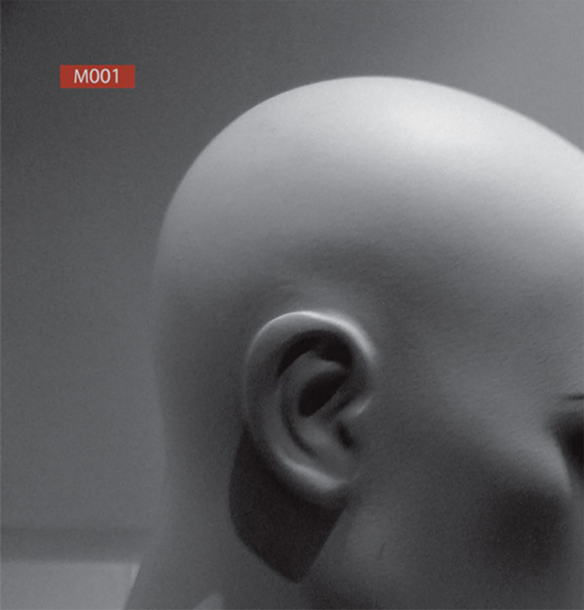 M001 | cedric maridet / moneme