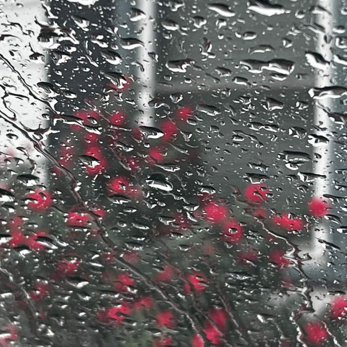 Snowday / Homebody | Spectral Shift