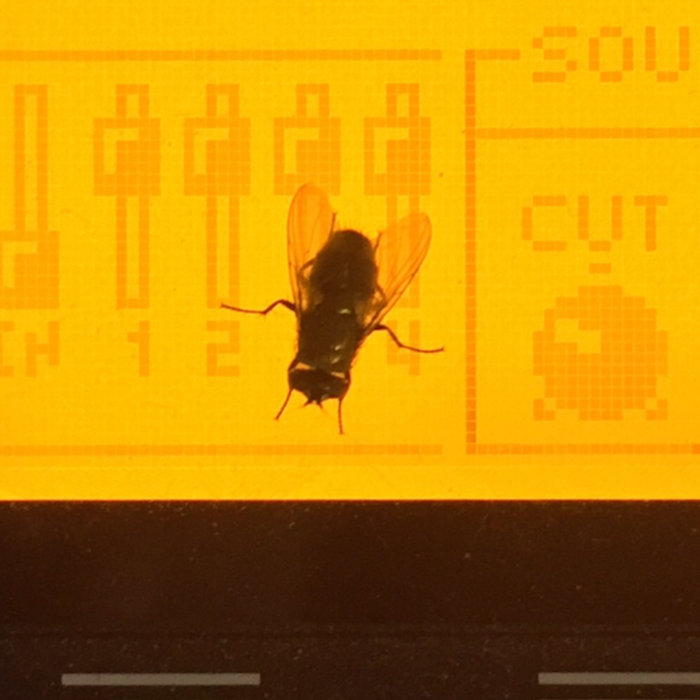 Perimeter Deactivated 2022 | Radio Ground Zero