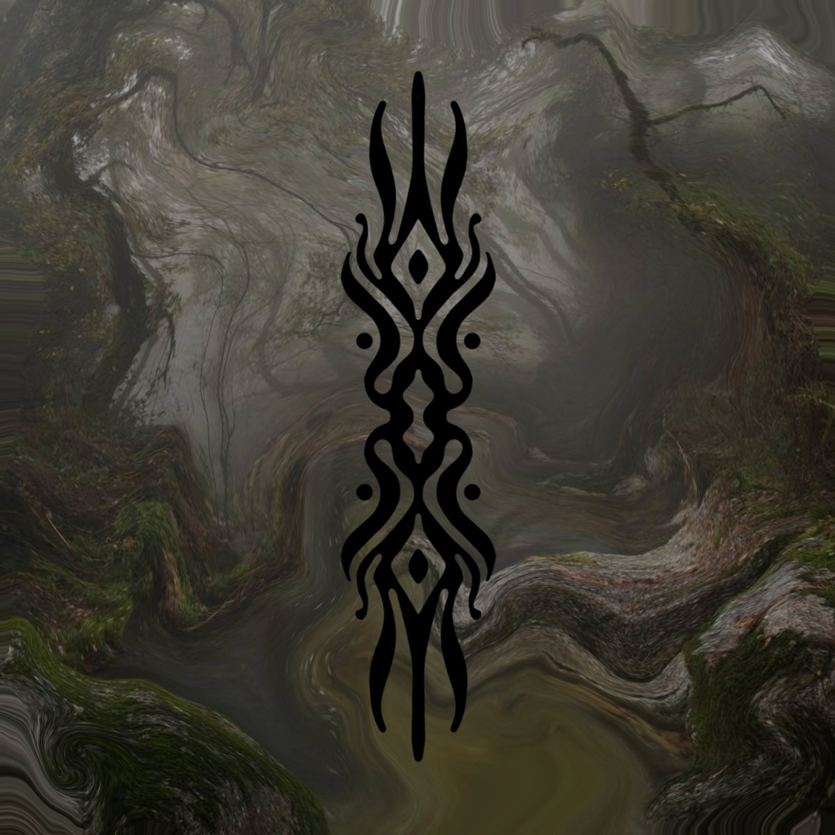 Alocasia | Archypness | EMAHO!