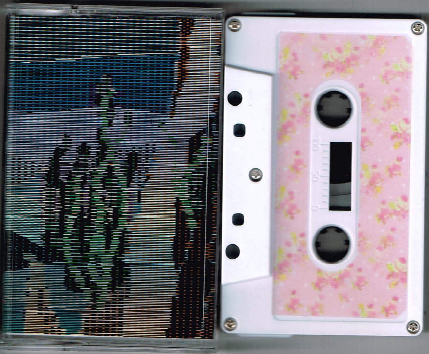 SPLIT C62 | TERLU/THE SOLEX-MAL | bergenost