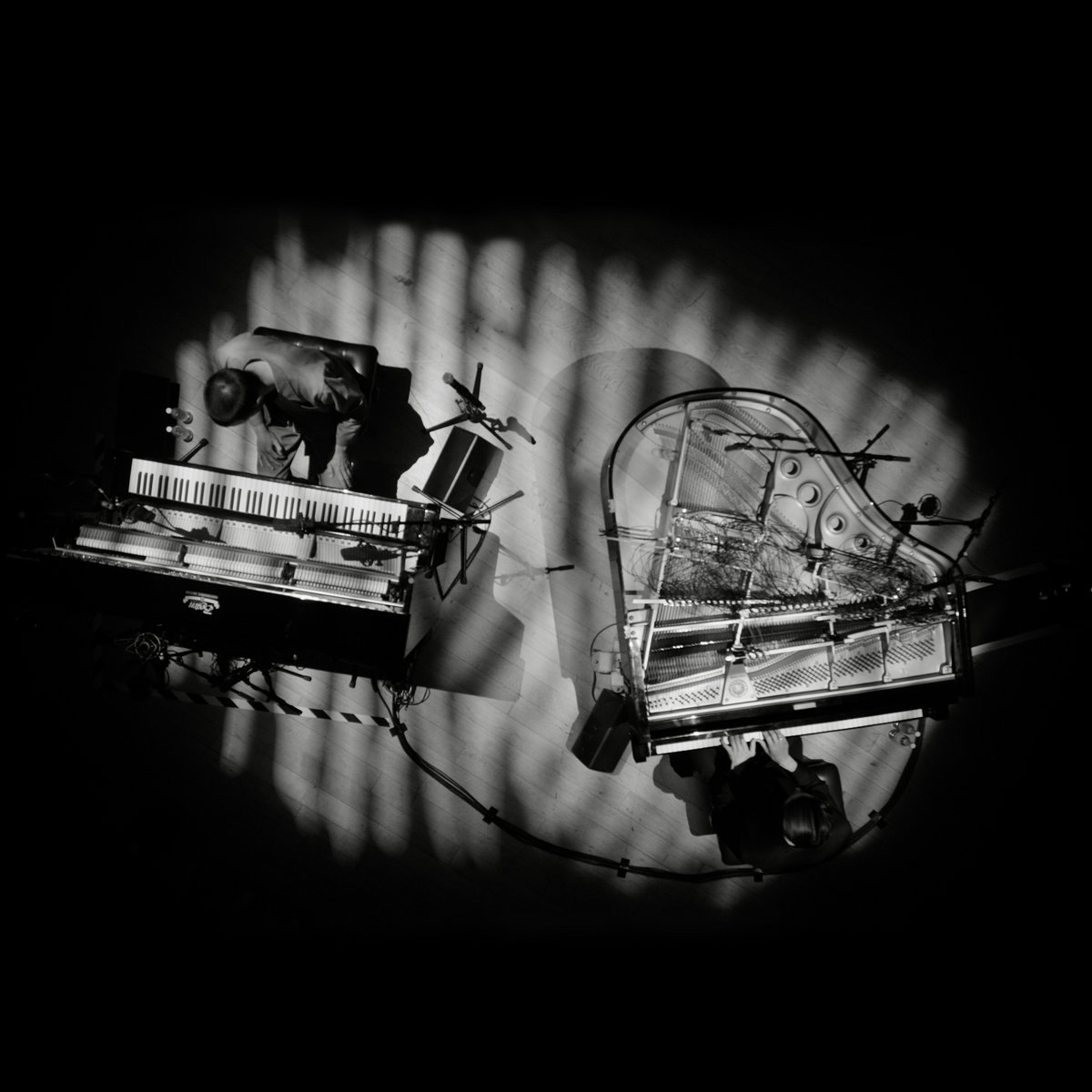 This Is Not The End | The Vernon Spring, Gwilym Gold | The Vernon Spring