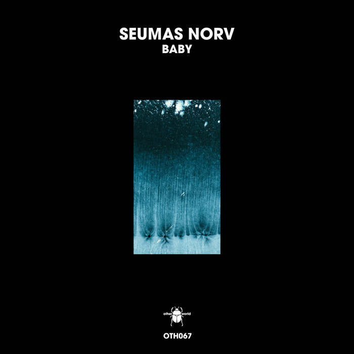 Baby | Seumas Norv