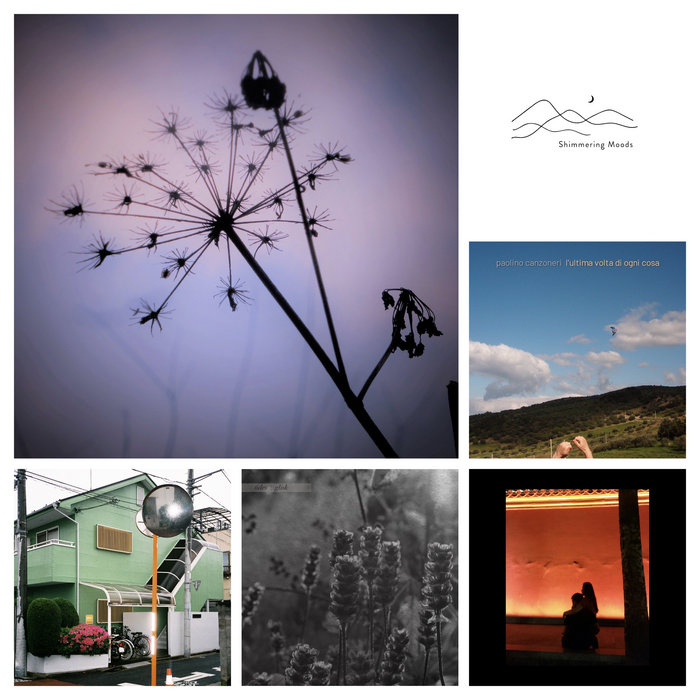 April 2024 CD / Digital Package Deal | Various Artists: Paolino ...