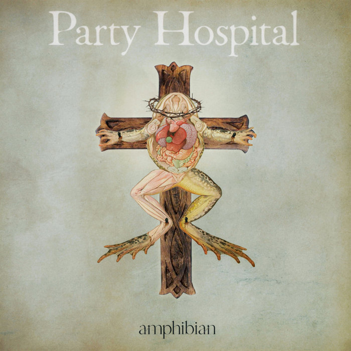 Amphibian | Party Hospital