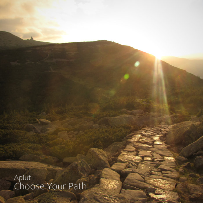 Choose Your Path | Aplut