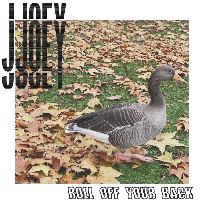 Roll Off Your Back | jjoey
