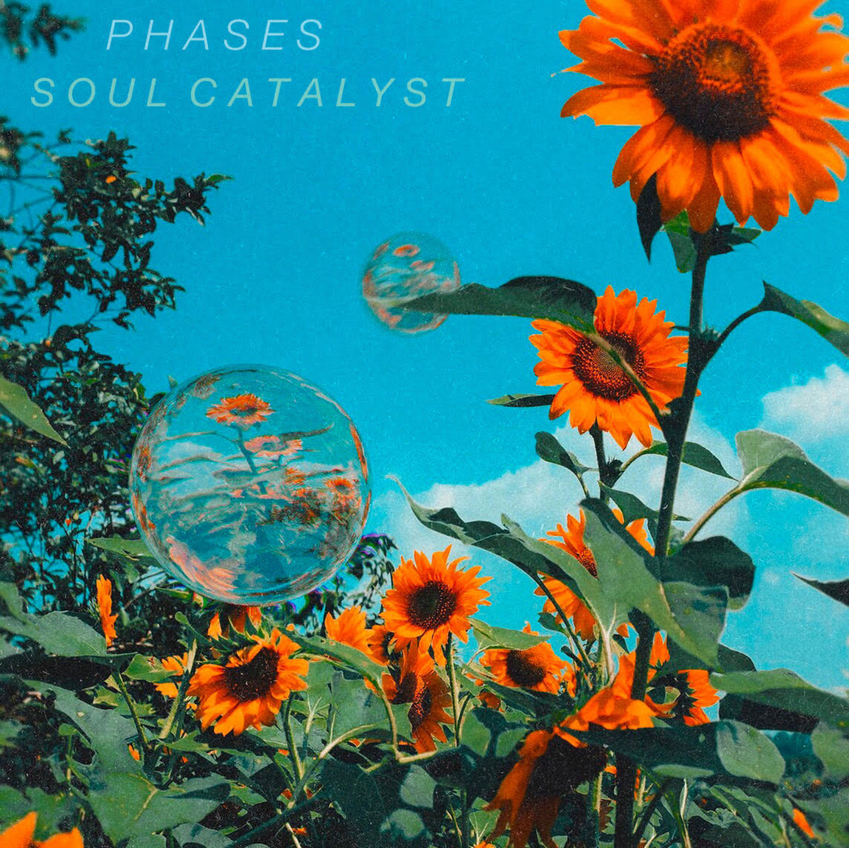 Phases | Soul Catalyst
