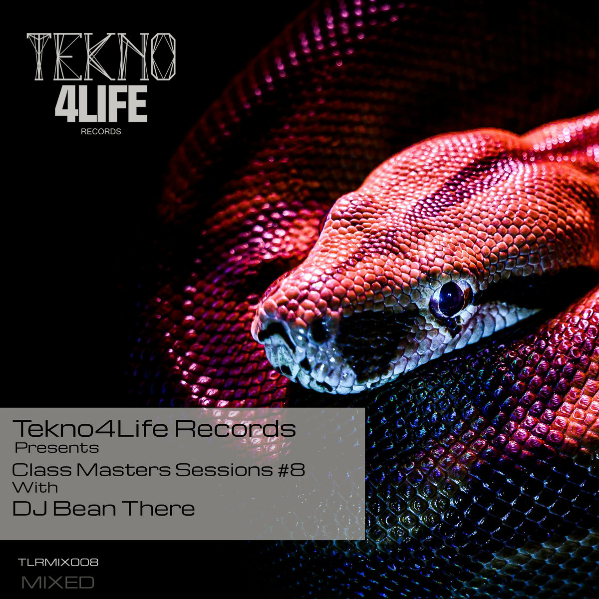 Tekno4Life Presents Class Masters Sessions #8 With Dj Bean There (MIXED) | DJ Bean there ...