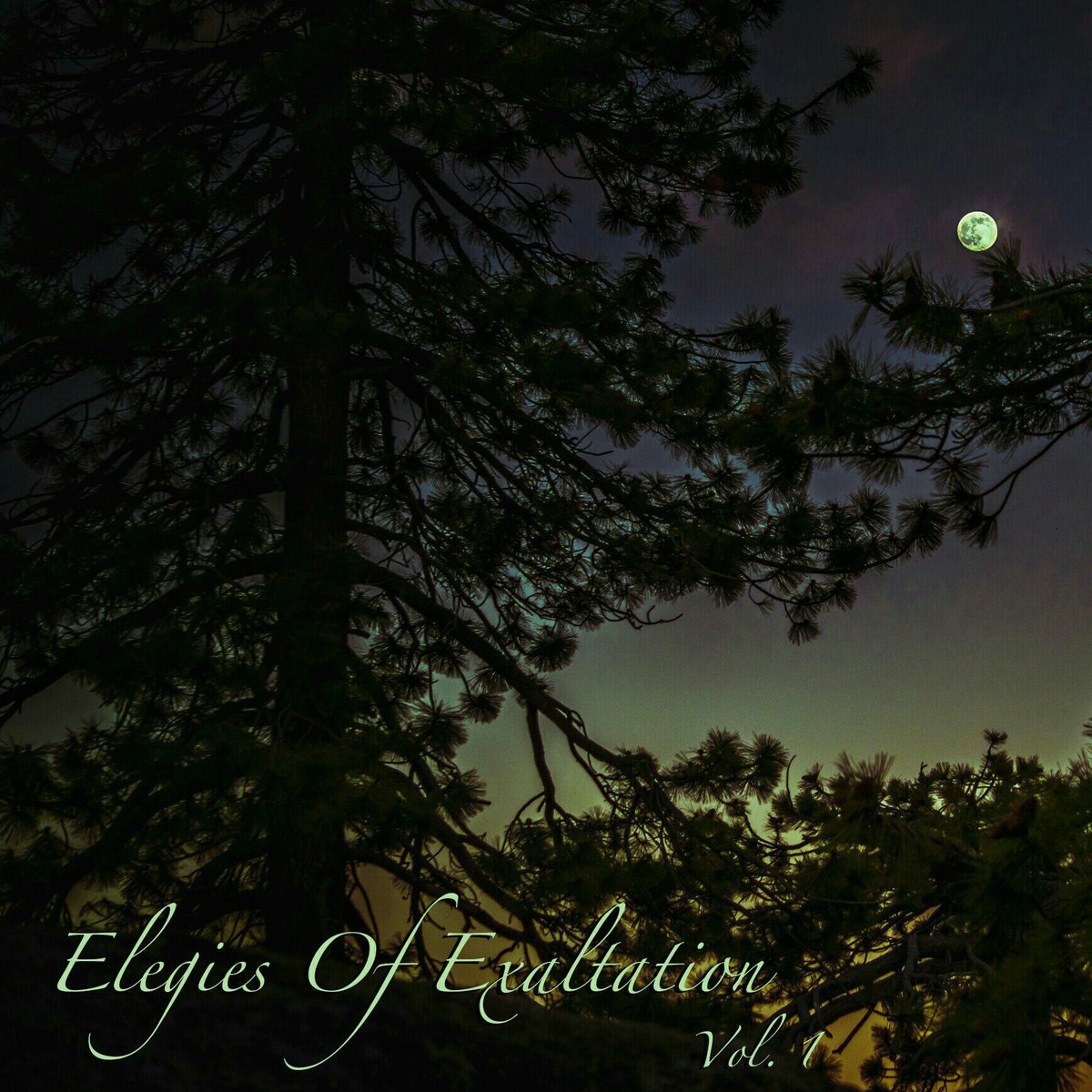 Elegies of Exaltation Vol. I | Kyle Netland