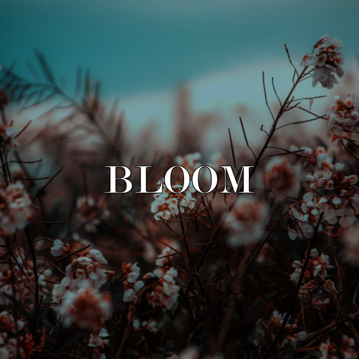 Bloom | The Nocturnal Void