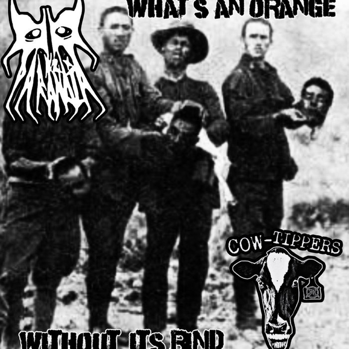 Split with K2PARANOIA | The Vomiting Cow-tipping Gynecologists Brigade