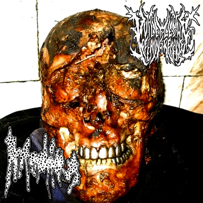 Split with Infectious (our side) | Vile Flesh Decaying Remains | Rancid ...