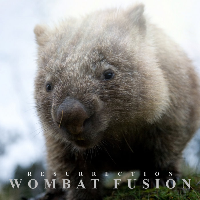 Resurrection EP | Wombat Fusion