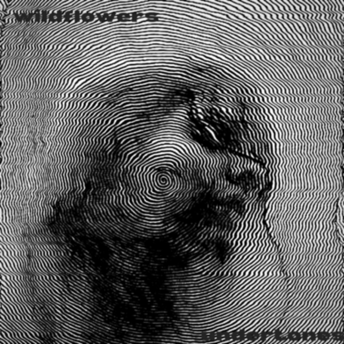 undertones | y2k records | wildflowers