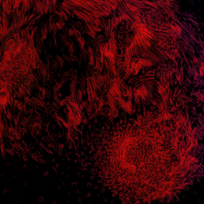 Odprawa pedałów polskich | coshma lynn + kapela zagrożone gatunki | malin