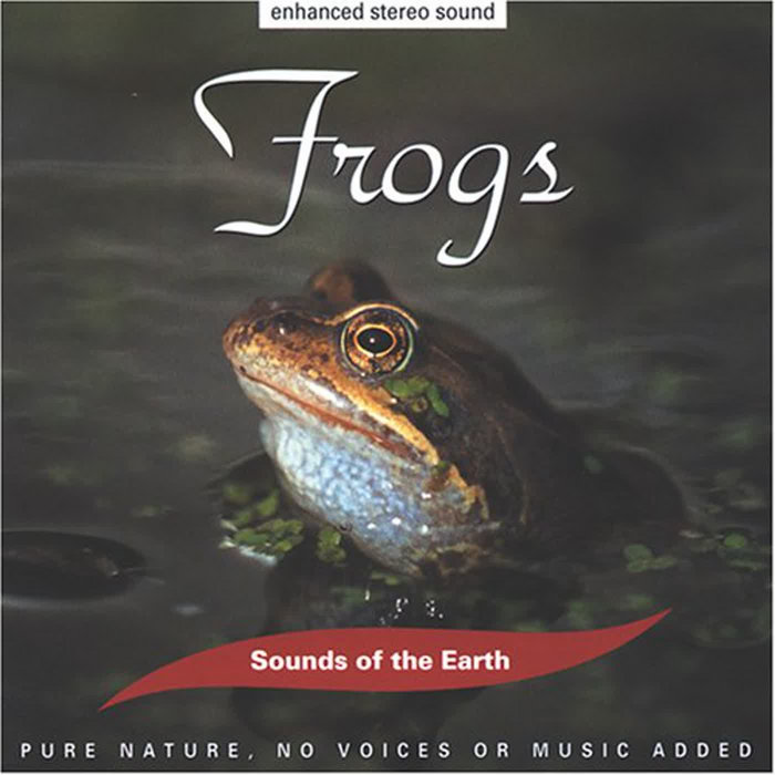 Frogs | Frog Chorus Records