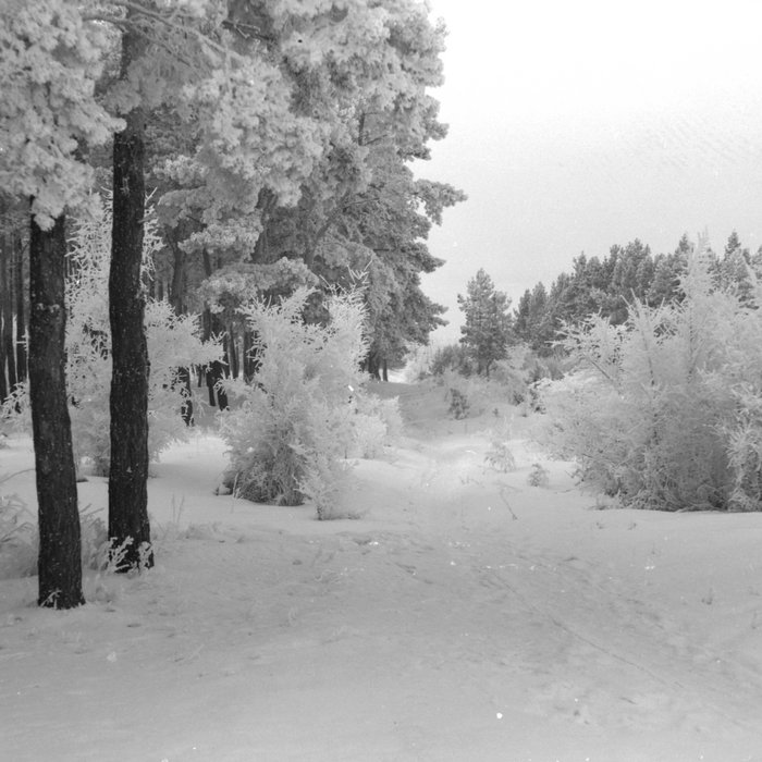 Concomitance | Anton Belov