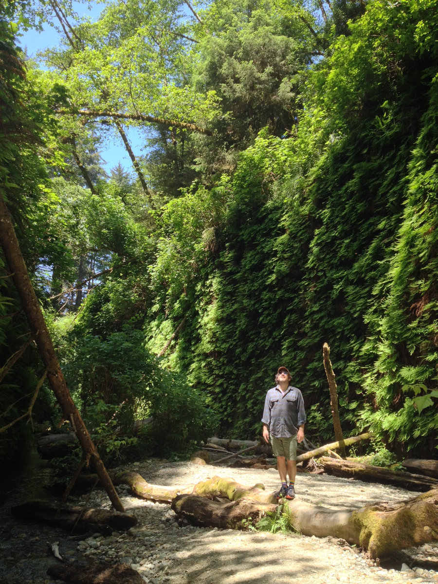 Albion Way EP | Hush Arbors