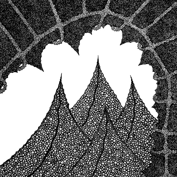 xalxal | Sunken Basilica | Fiadh Productions