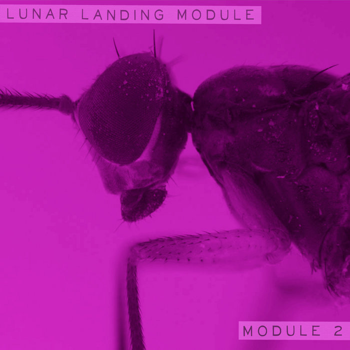 Module 2 | Lunar Landing Module