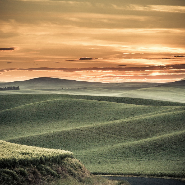 Out in the fields | The Six Million Dollar Guitar