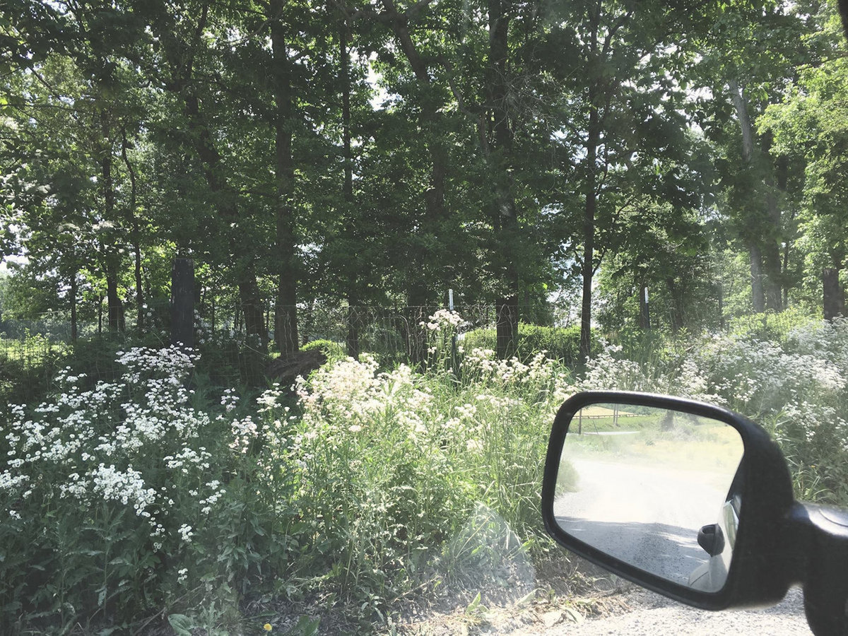 past selves | Maria DeHart
