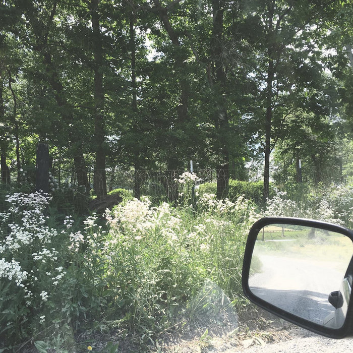 past selves | Maria DeHart