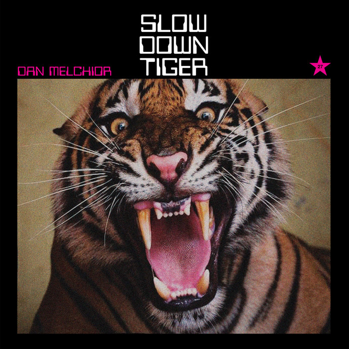 Slow Down Tiger | Dan Melchior