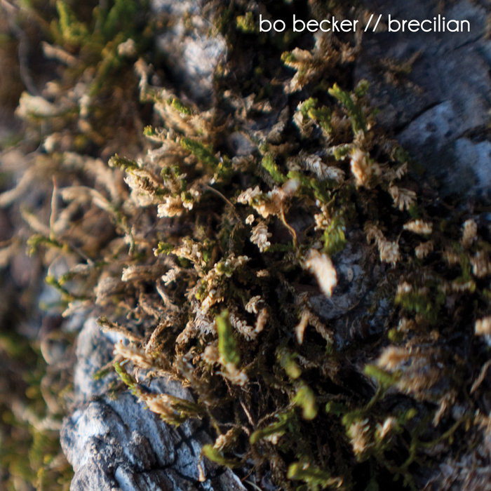 Brecilian | Bo Becker