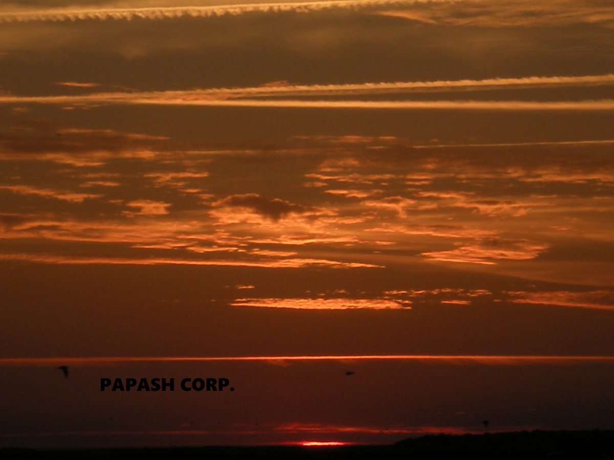 Tokyo | PAPASH CORP.