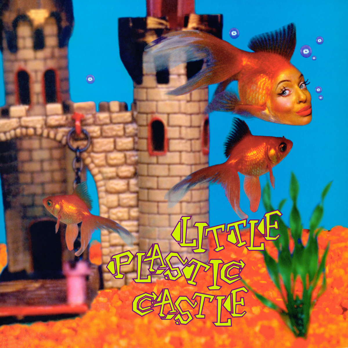 Little Plastic Castle (25th Anniversary Edition) | Ani DiFranco