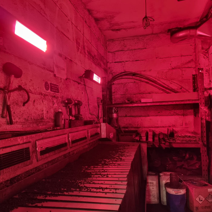 Borrowed Time | Factory Cult