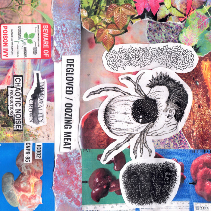 DEGLOVED/ OOZING MEAT split | Chaotic Noise Productions (label)