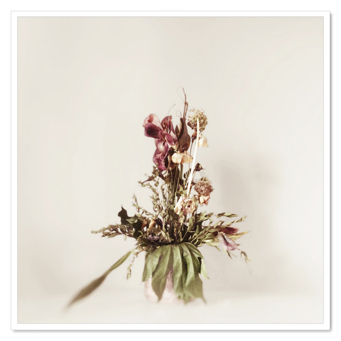 Silence | Stenbit