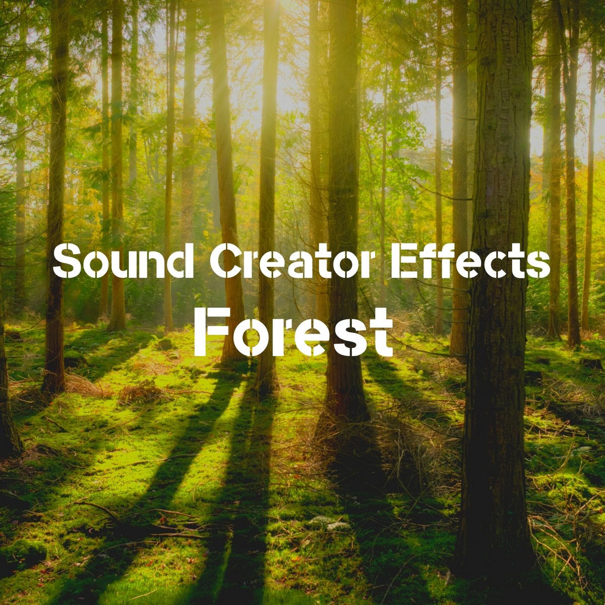 Forest | Sound Creator (Royalty-Free Effects)