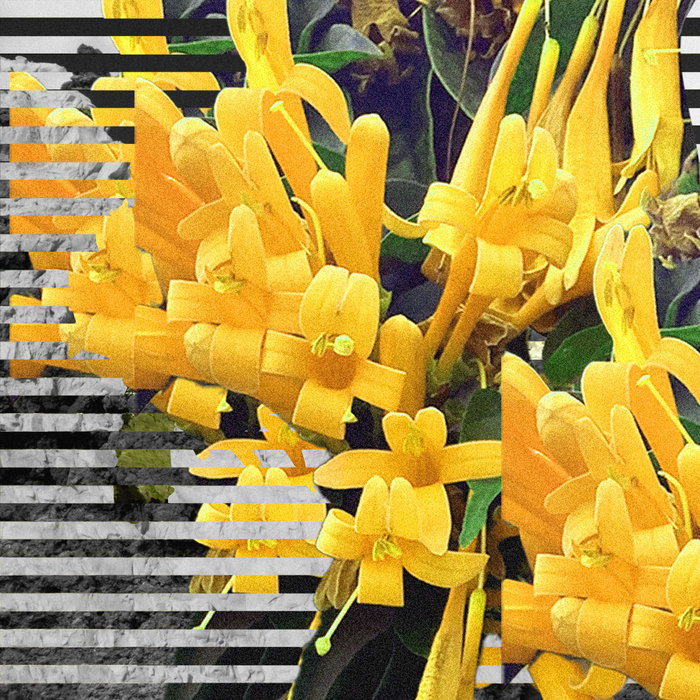 Formaldeide | Alec Pace | sonambient