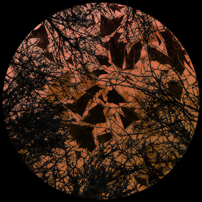 Shush Hour | Robot Love