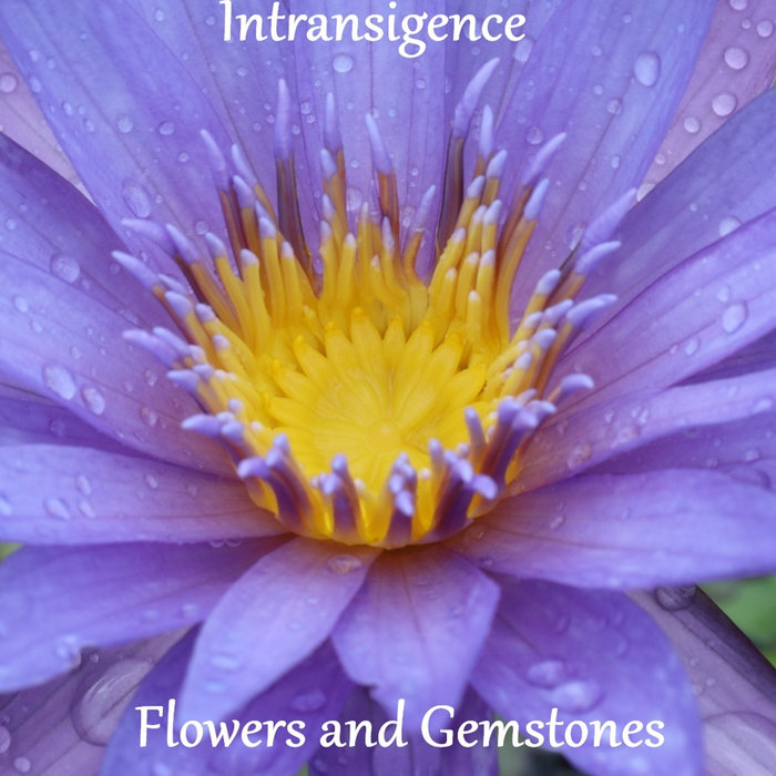 Flowers and Gemstones | Intransigence