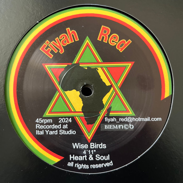 Wise Birds | Heart & Soul