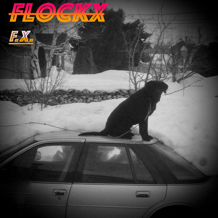 Flockx | Flockx
