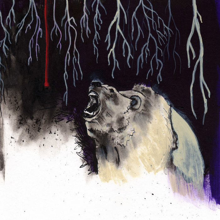 David Conner | David Conner